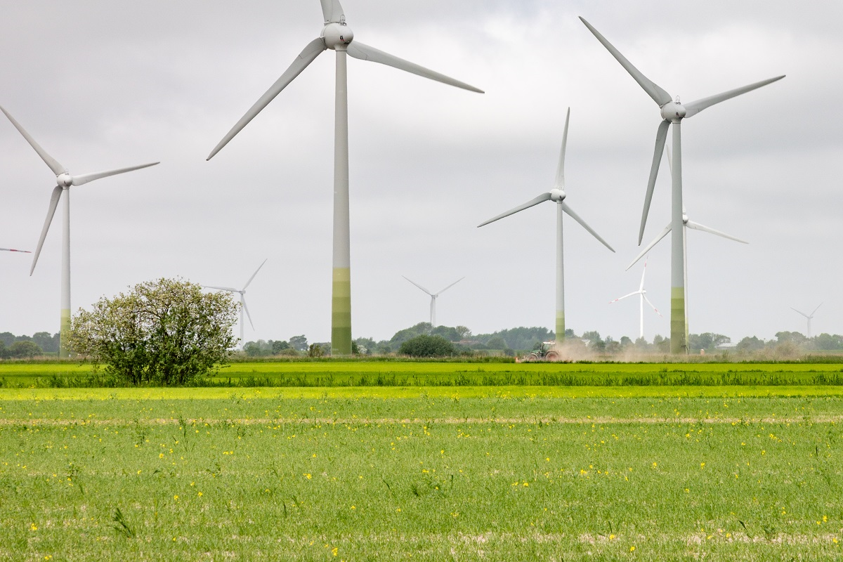 DOF: Nye energianlæg skal holdes ude af beskyttet natur, så meget natur ...